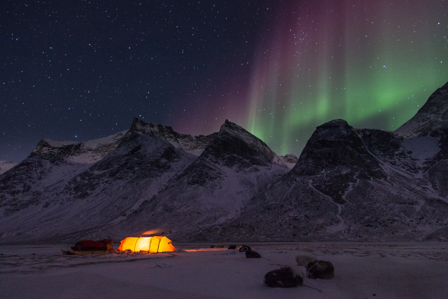 Winter is here! - Northwinds Expeditions